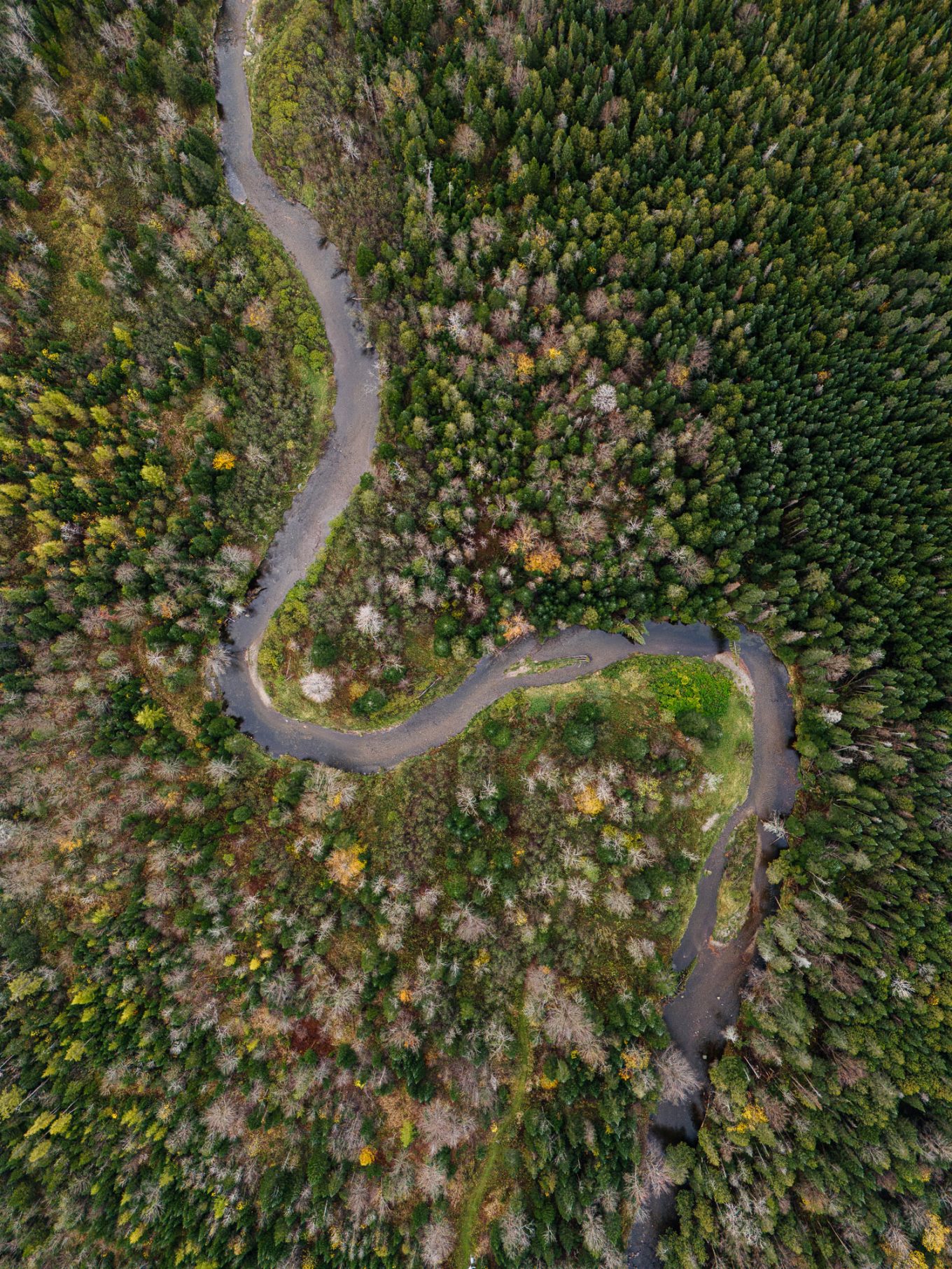 Bora Boréal Estrie: A Unique Glamping Experience on the Water — JEFF ON ...