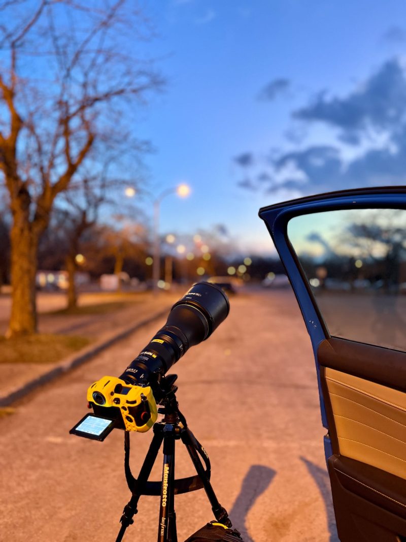 Nikon Z 800mm Lens Review: A Pro Photographer's Insight