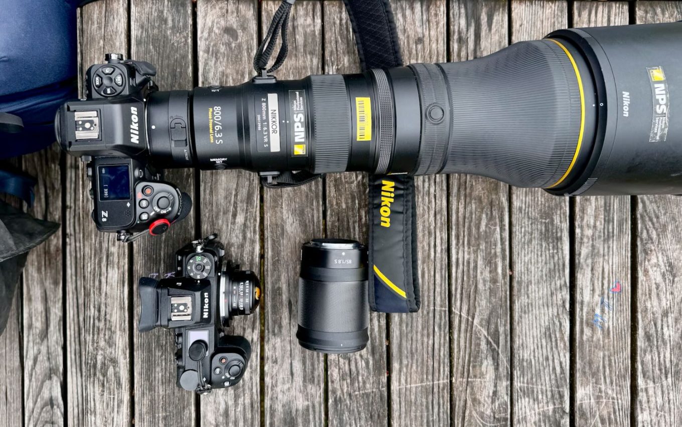 Nikon Z 800mm Lens Review: A Pro Photographer's Insight